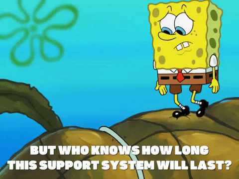 But Who Knows GIFs - Get the best GIF on GIPHY