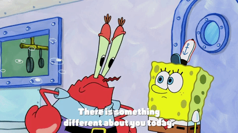 Season 9 GIF by SpongeBob SquarePants - Find & Share on GIPHY
