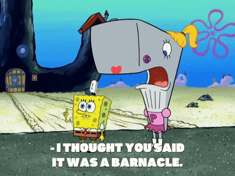 Season 8 Barnacle Face GIF by SpongeBob SquarePants - Find & Share on GIPHY