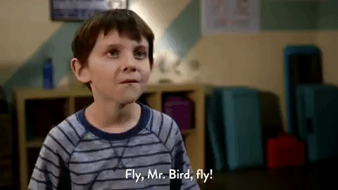 Bird Fly GIFs - Get the best GIF on GIPHY