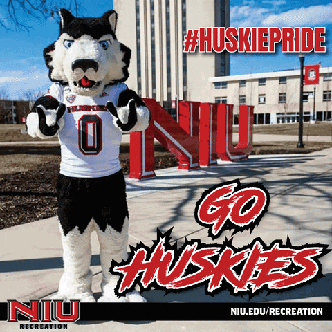 Huskies Niu GIF by Northern Illinois University - Find & Share on GIPHY