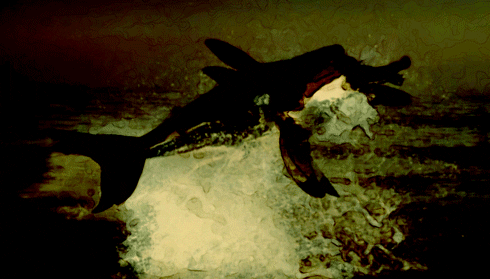 Animation Whale GIF by weinventyou - Find & Share on GIPHY