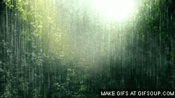 Recomendaciones Lluvias GIFs - Get the best GIF on GIPHY