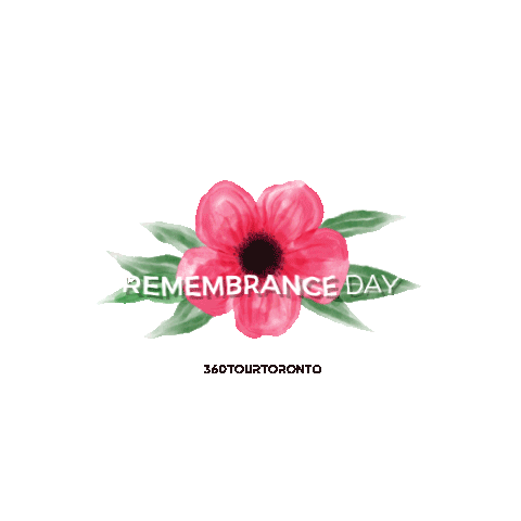 Remembrance Day GIFs on GIPHY - Be Animated