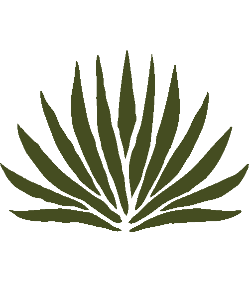 Metoro mezcal GIFs on GIPHY - Be Animated