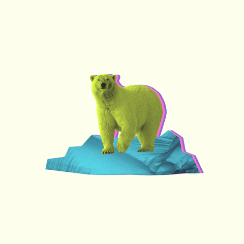 Save Wildlife GIFs - Get the best GIF on GIPHY