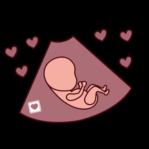 Gesta GIFs - Get the best GIF on GIPHY