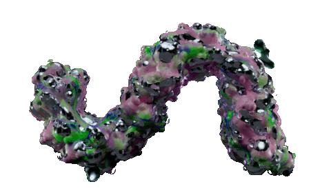 Protein Structure Gif