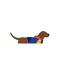 BOIS THE LABEL GIFs on GIPHY - Be Animated