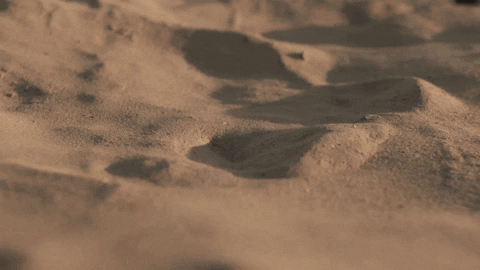 Rolling Sand GIFs - Get the best GIF on GIPHY