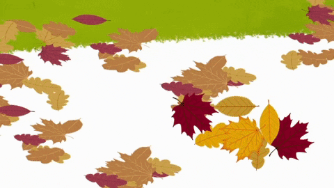 Crunchy Leaves GIFs - Get the best GIF on GIPHY