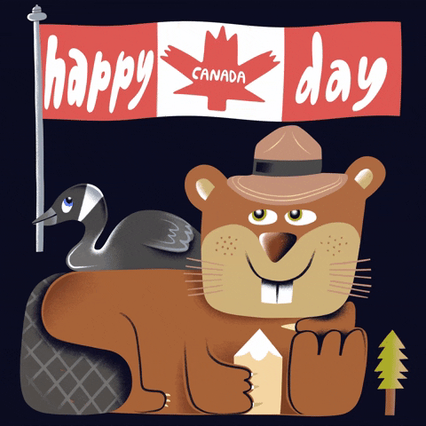 Celebrate-canada-day GIFs - Get the best GIF on GIPHY