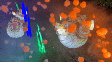 Puffer Fish GIFs - Find & Share on GIPHY