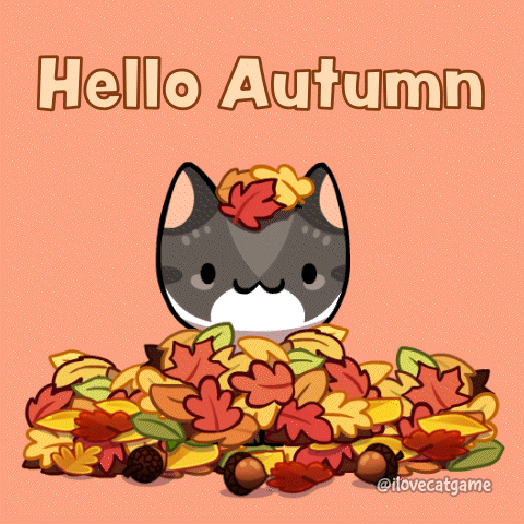 Autumn GIFs on GIPHY - Be Animated
