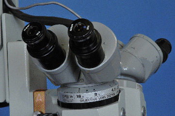 Microscope GIF - Find & Share on GIPHY