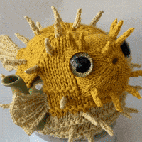 Cute Puffer Fish Gif