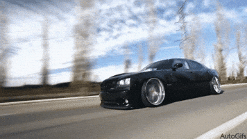 Car Stance GIFs - Find & Share on GIPHY