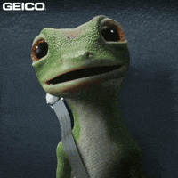 Geico Gecko Gif
