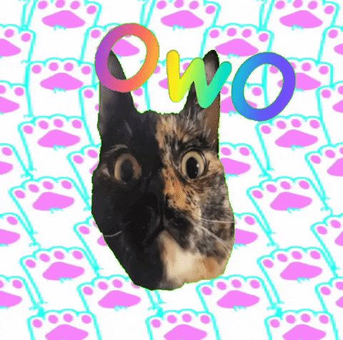 Owo GIFs - Find & Share on GIPHY