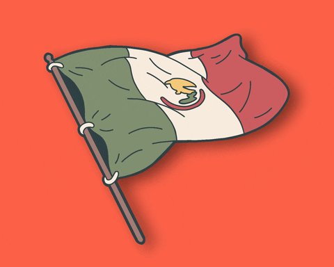 Bandera Mexico GIFs - Get the best GIF on GIPHY