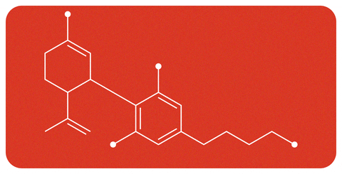 Cannabis Cbd GIF by oHHo - Find & Share on GIPHY