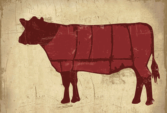 Scottish Angus GIFs - Get the best GIF on GIPHY