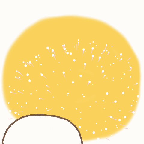 Yellow Rabbit GIFs - Get the best GIF on GIPHY