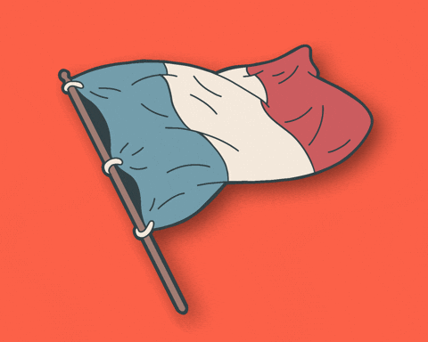 Drapeau Acadien GIFs - Get the best GIF on GIPHY