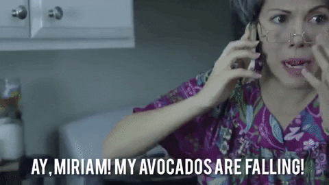 Miami Life GIFs - Get the best GIF on GIPHY