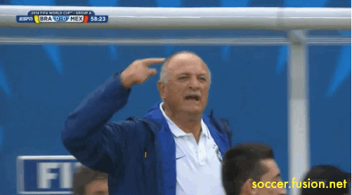 Luis Felipe Scolari GIFs - Get the best GIF on GIPHY