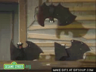 Bat GIF - Find & Share on GIPHY