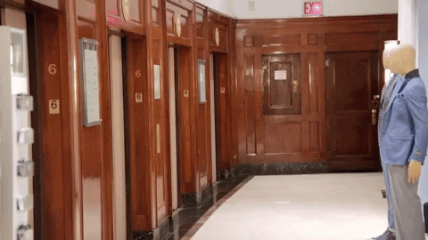 Frollicking GIFs - Get the best GIF on GIPHY