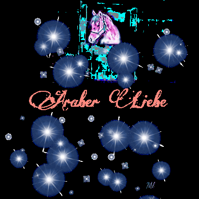 Hengst GIFs - Get the best GIF on GIPHY