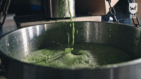 Green Juice GIFs - Get the best GIF on GIPHY