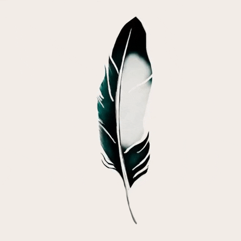 Bird Animation GIFs - Get the best GIF on GIPHY