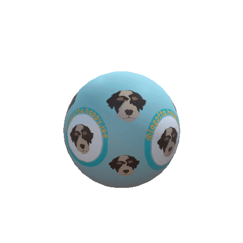 Lagotto Romagnolo GIFs on GIPHY - Be Animated