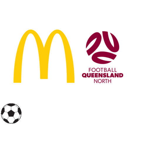 North Queensland Football GIFs on GIPHY - Be Animated