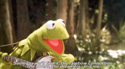 Get Out Frog Gif Rainbow