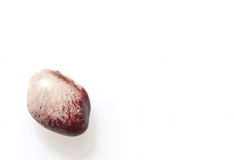 Urban Dictionary: Beansprout