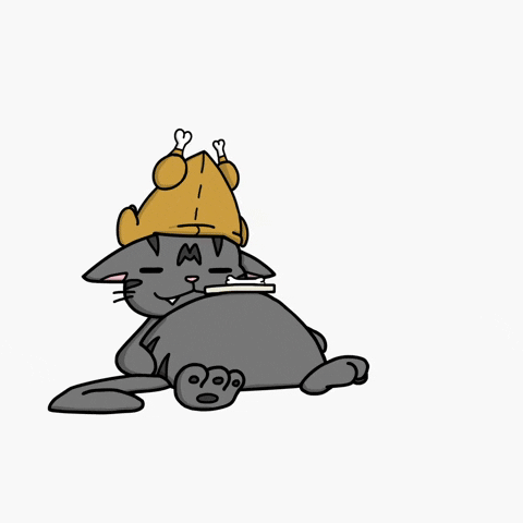 Thanksgiving Cat GIFs - Get the best GIF on GIPHY