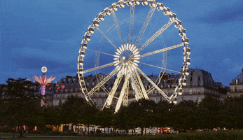 Wheel GIFs - Find & Share on GIPHY