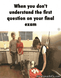 Funny Final Exam Pictures